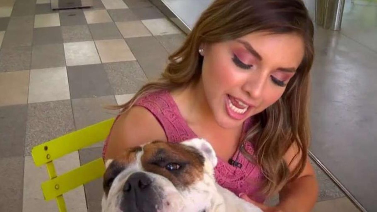 Reyna Cavazos nos presenta a su mascota Pancho – Telemundo Las Vegas