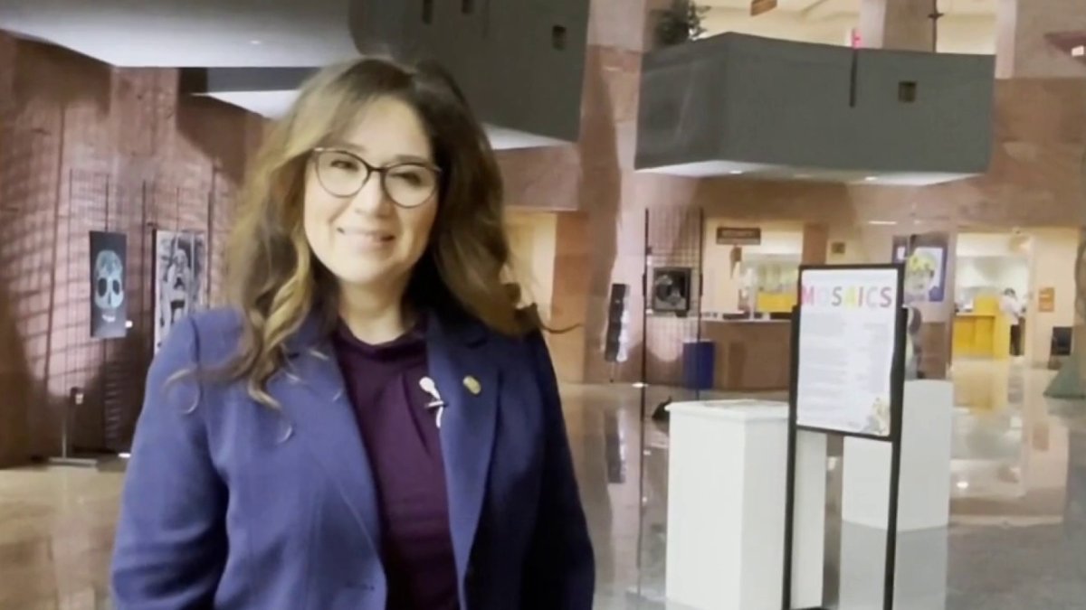 Nombran a Lorena Portillo Registradora de Votantes del condado Clark ...
