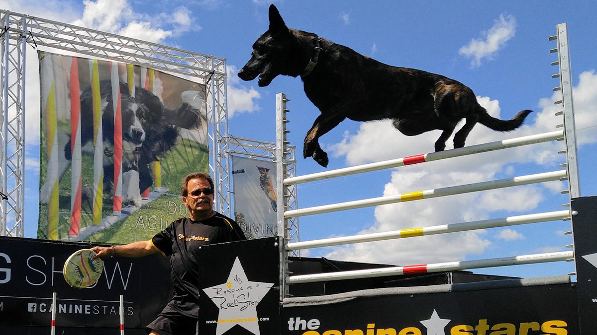 Henderson recibirá a los peludos más talentosos en Bark In the Park ...