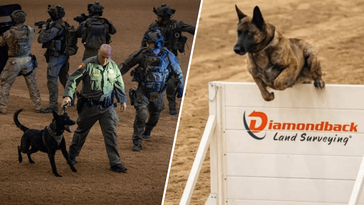 Los perros más guapos y talentosos estarán en la prueba anual LVMPD K-9 ...